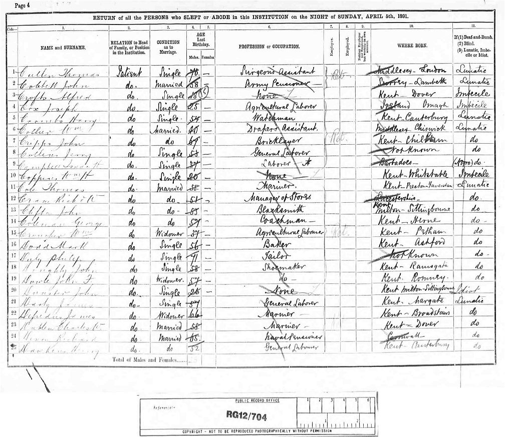 1891 UK Census Source