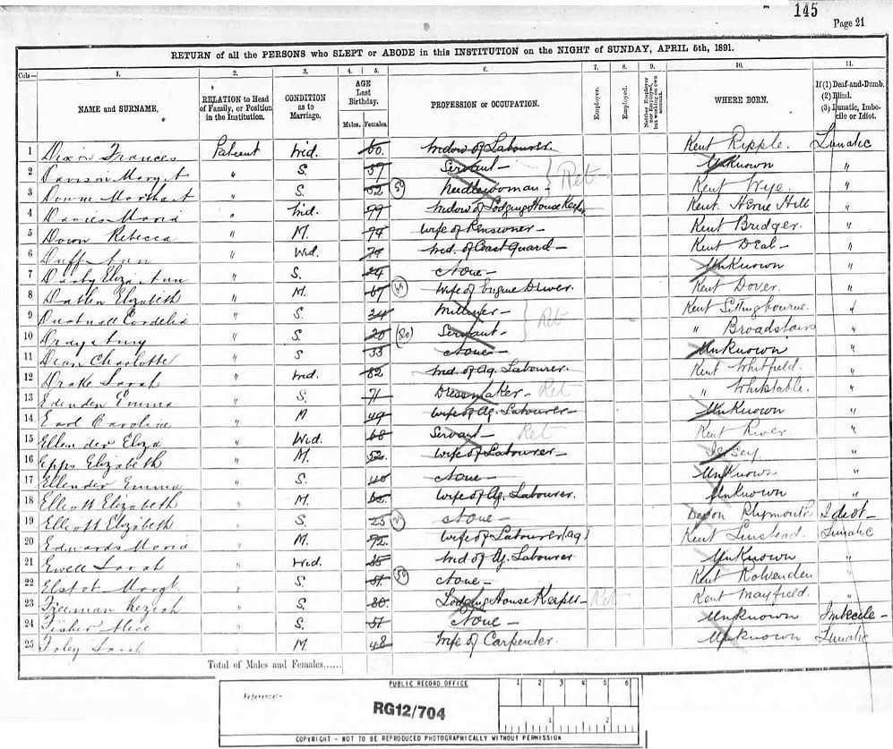 1891 UK Census Source